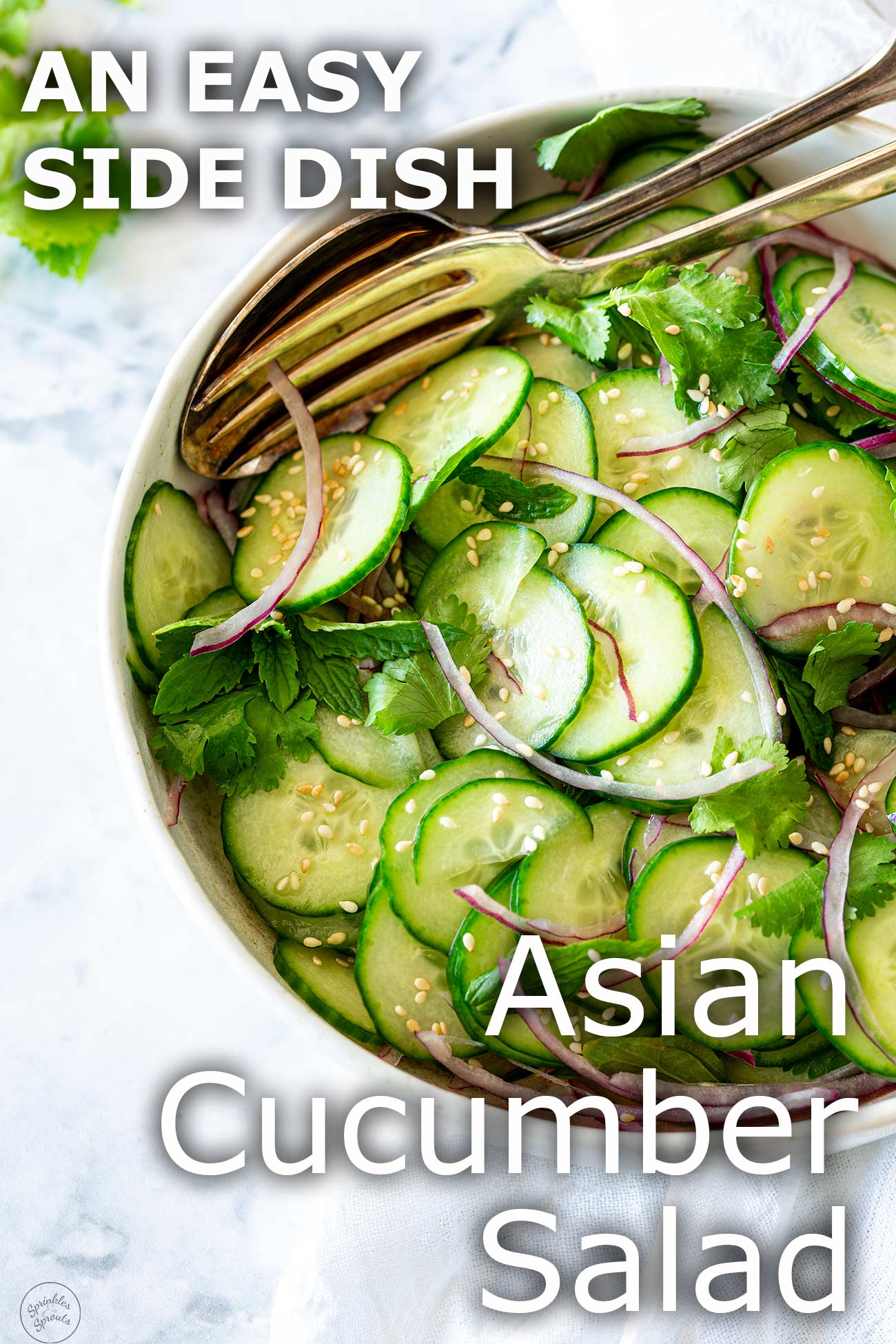 Asian Cucumber Salad with Red Onions - Sprinkles and Sprouts