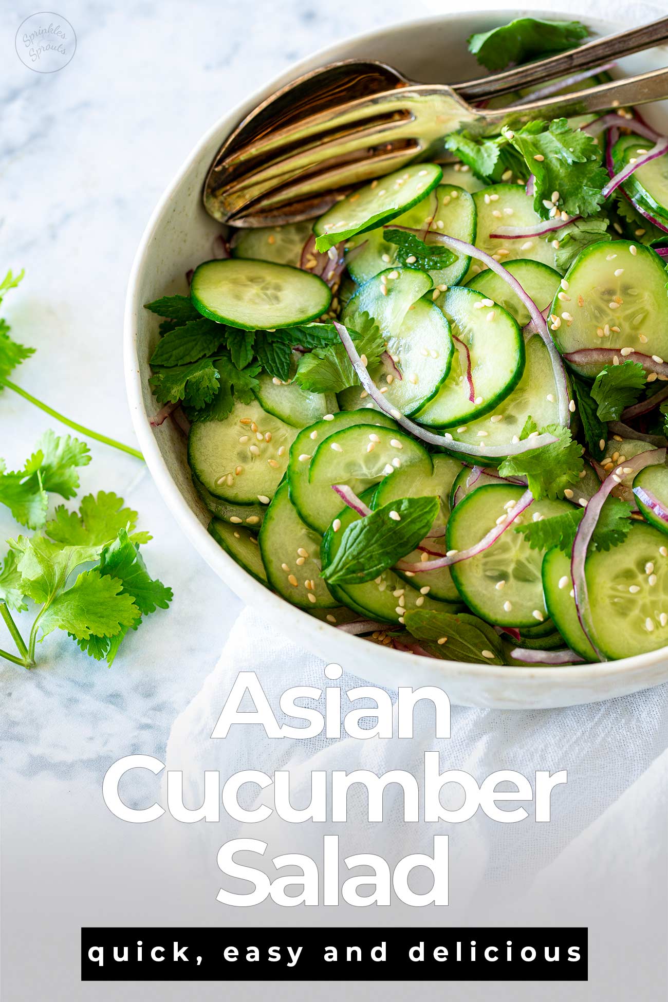 Asian Cucumber Salad with Red Onions - Sprinkles and Sprouts
