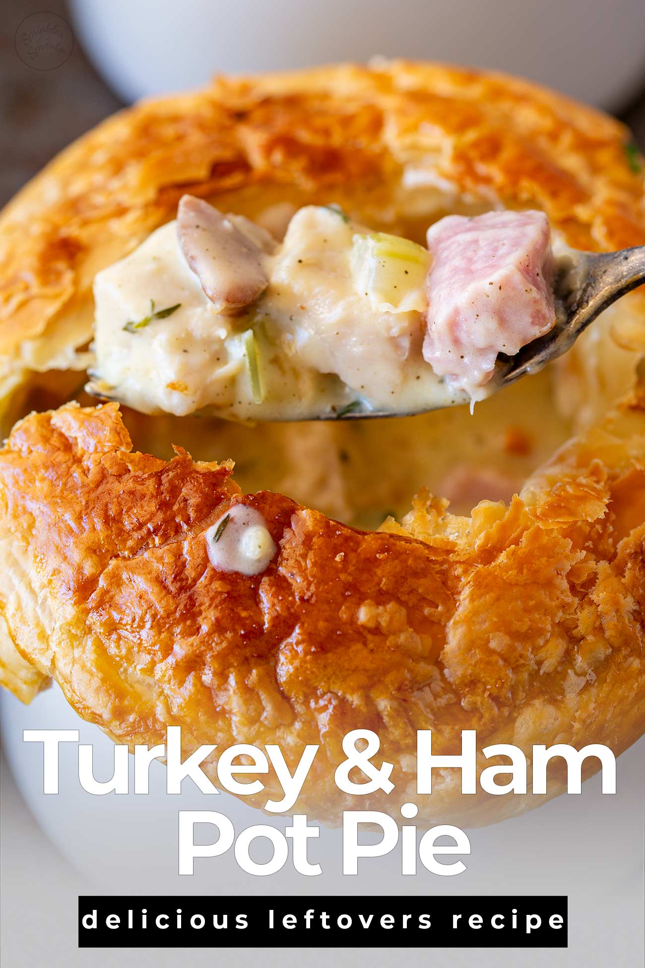 Turkey and Ham Pot Pies - Sprinkles and Sprouts
